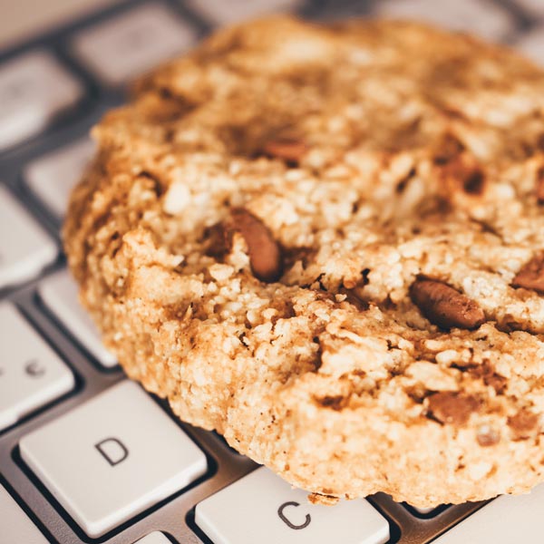 Cookie Policy - CREATIVE MODELS